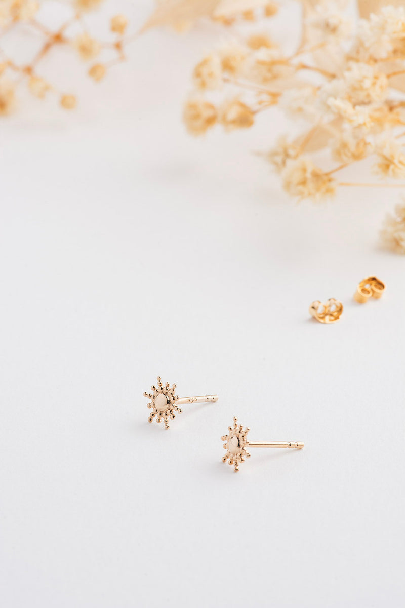 Solina – Studio 1926